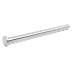 Stainless Steel Guide Rod for P10F - Cajun Gun Works